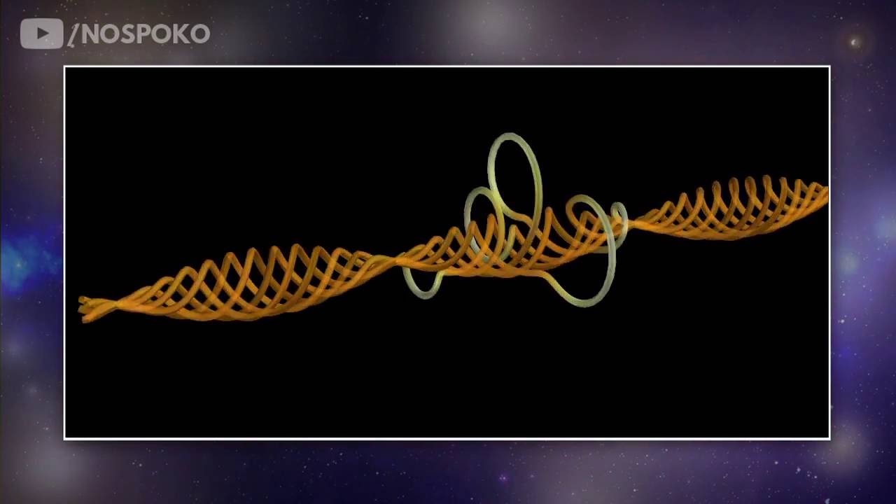 BLOMPF season 0 episode 0 - YouTube