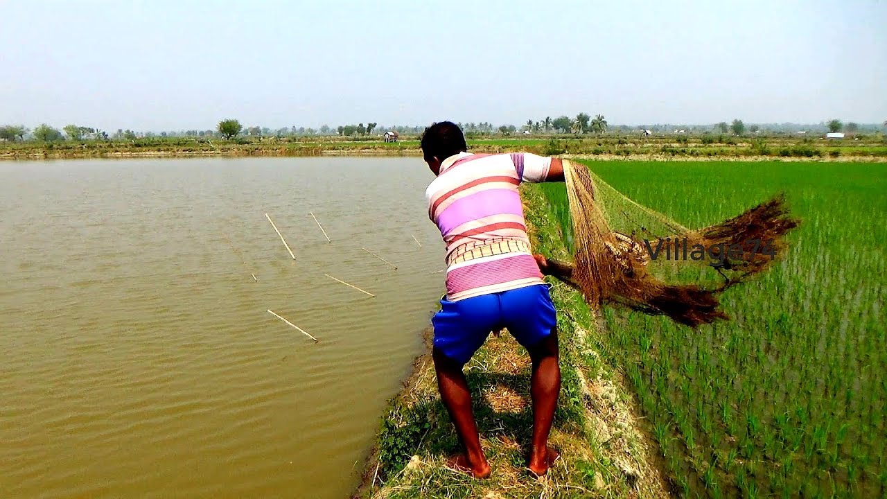 Best Cast Net Fishing। Traditional Cast Net Fishing in village। Fishing ...