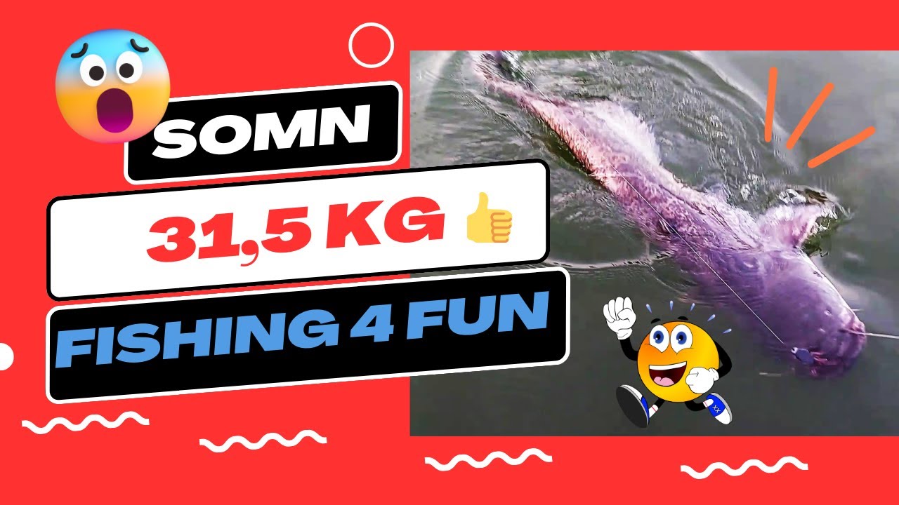 RECORD SOMN DE 31,5 KG PRINS PE DUNARE IN 2022 - YouTube