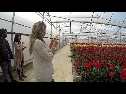 Raquel Henriques na CAPITAL DA FLOR | Making-of