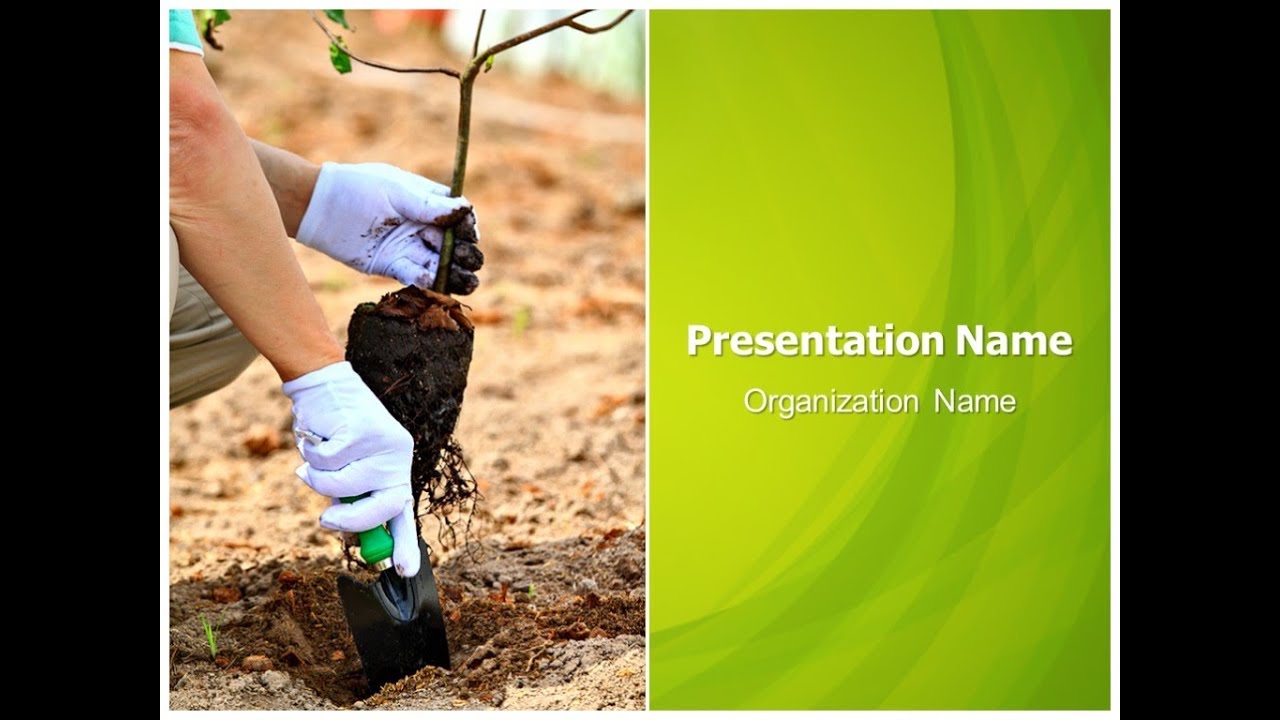 Afforestation PPT PowerPoint Template | thetemplatewizard.com - YouTube