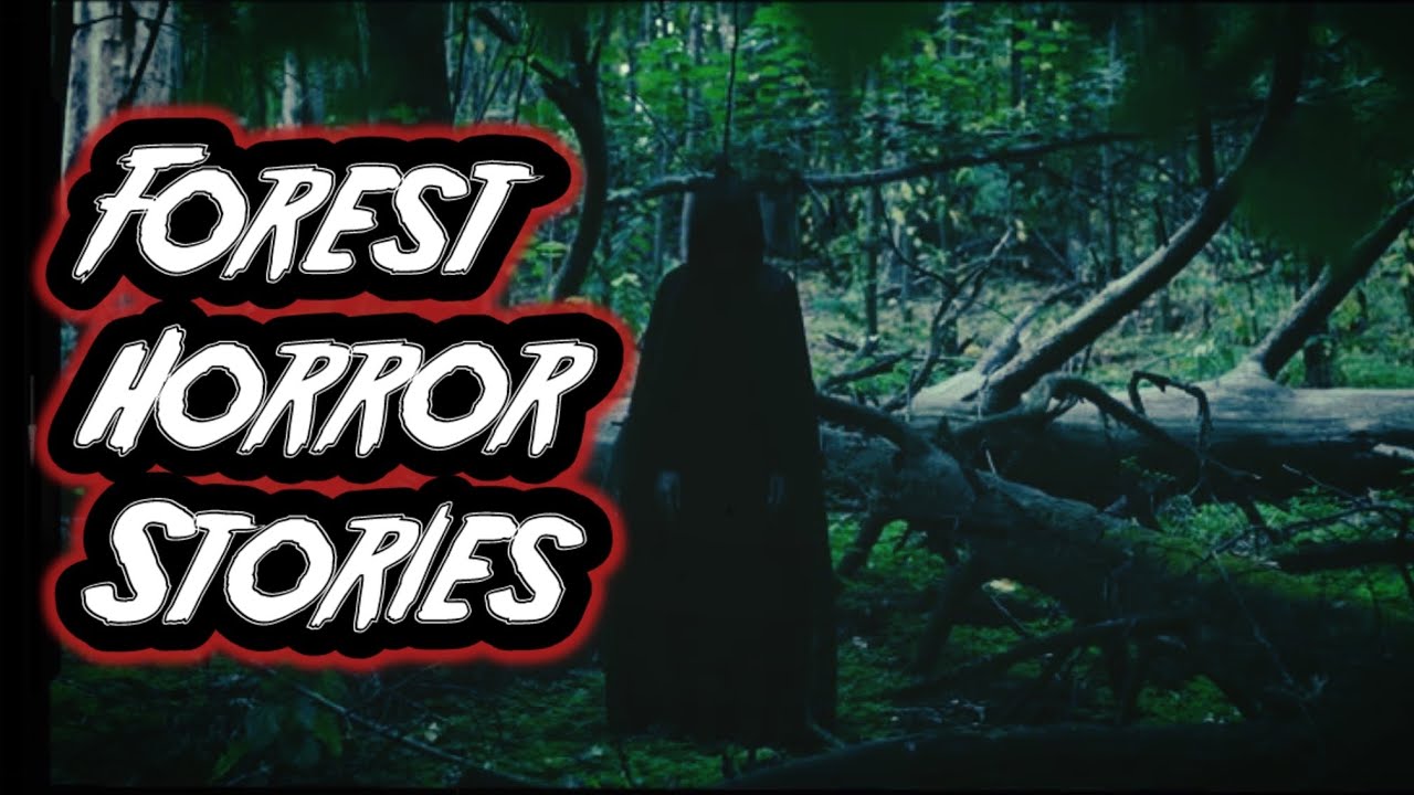 3 Terrifying True Forest Horror Stories - YouTube