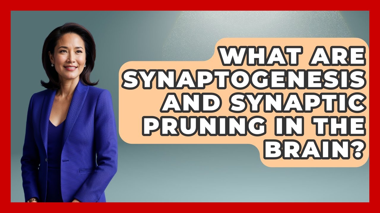 What Are Synaptogenesis And Synaptic Pruning In The Brain? - Brain ...