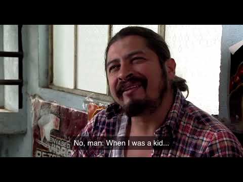 Puro Mula puro chapín💪🇬🇹😂🤣