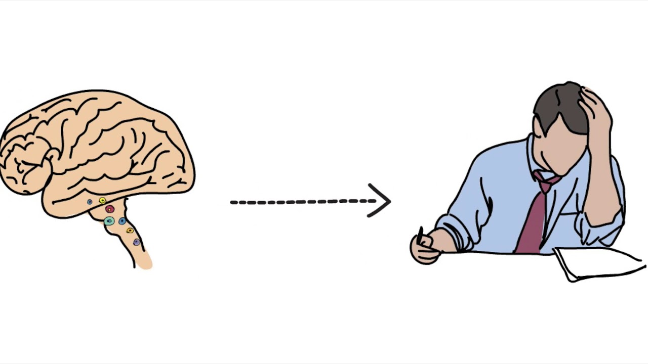 Neuroscience Behind Loneliness - YouTube