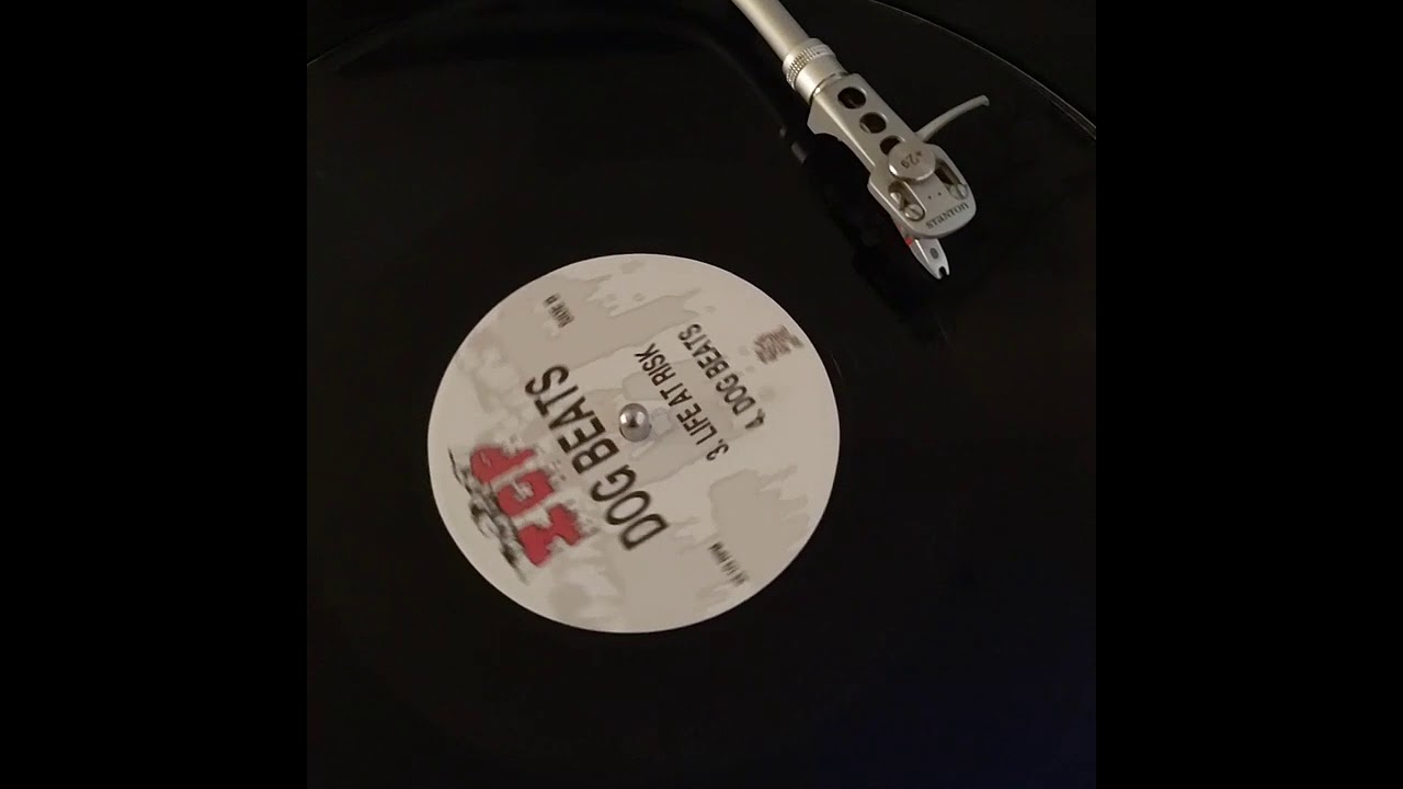 INSANE CLOWN POSSE - ICP - Dog Beats - Vinyl - YouTube