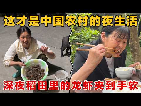 这才是中国农村的夜生活，深夜稻田里的龙虾太多了，夹到手软#农人飞扬