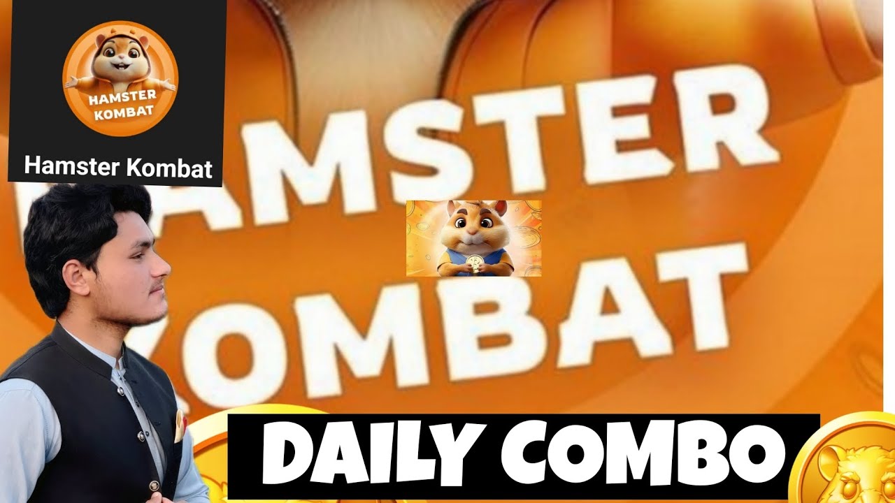 Hamster Combat Daily Combo| today three cards Hamster Combat|today ...