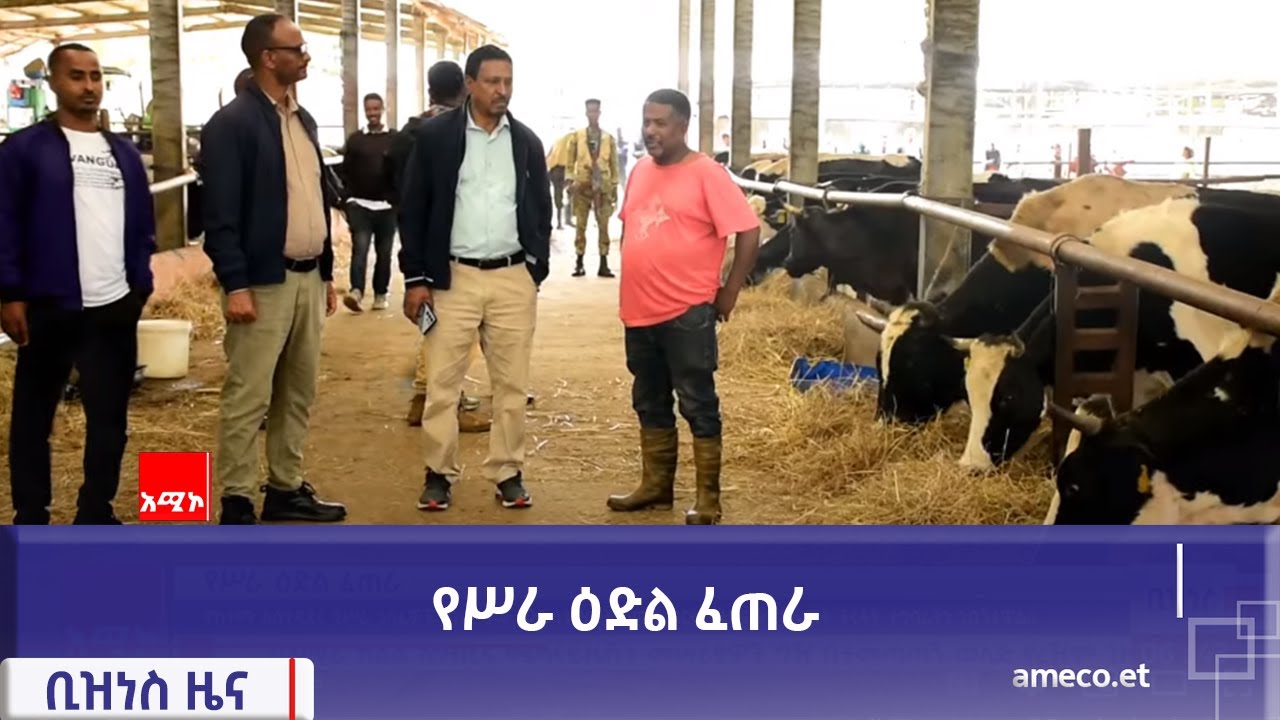 የሥራ ዕድል ፈጠራ Youtube