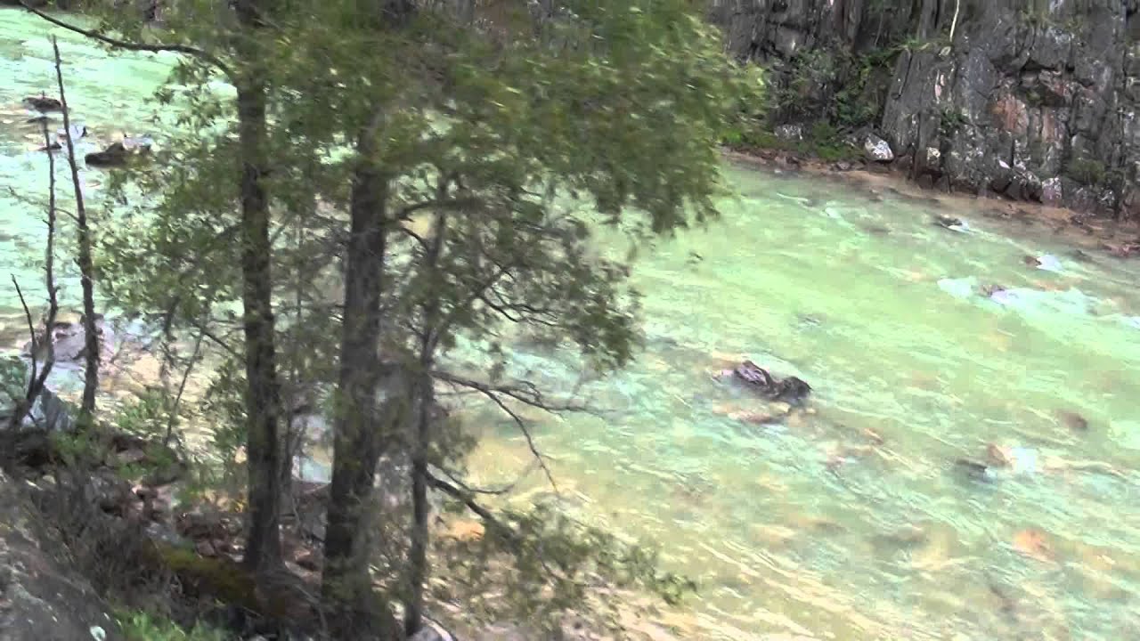 Animas River 11 Days after Silverton Spill - See Yellow Caked ...