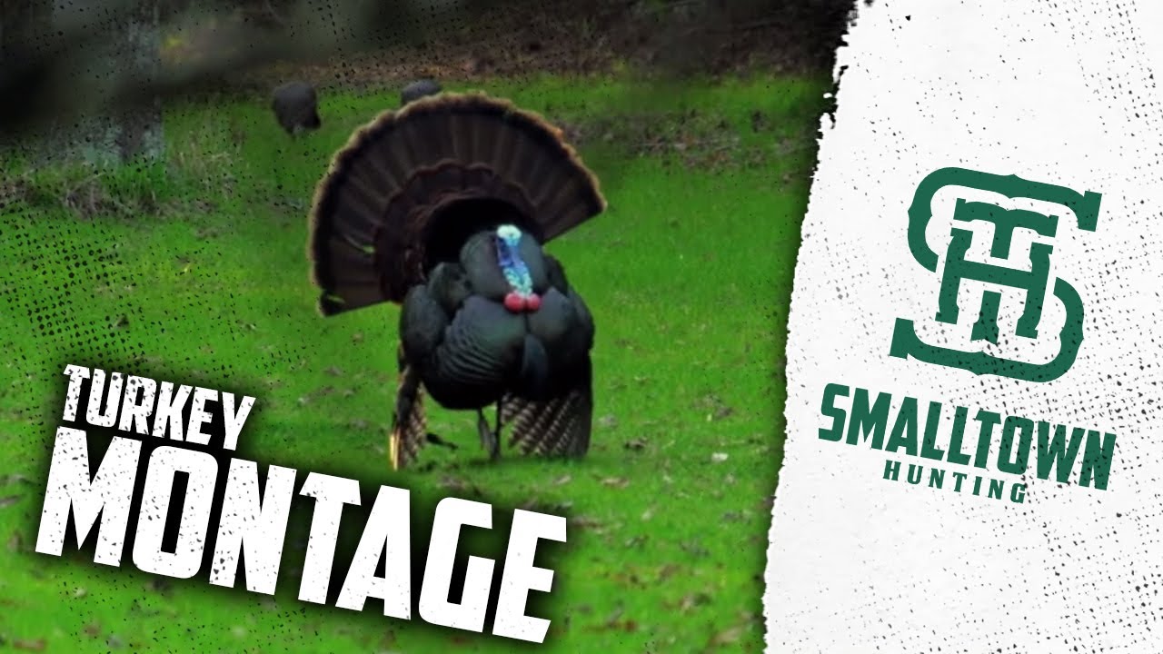 Small Town Hunting | Turkey Hunting Montage - YouTube