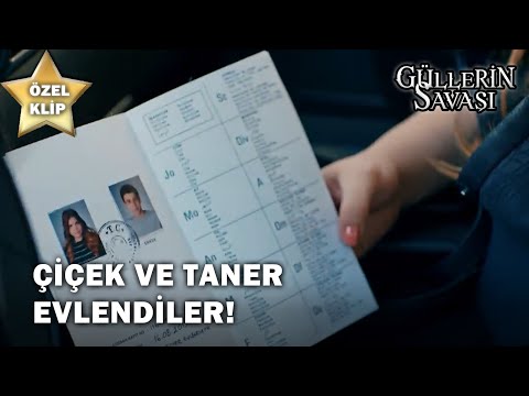 Çiçek ve Taner Evlendiler! - Güllerin Savaşı Özel Klip