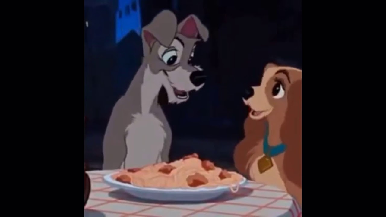 Dog eating spaghetti - YouTube