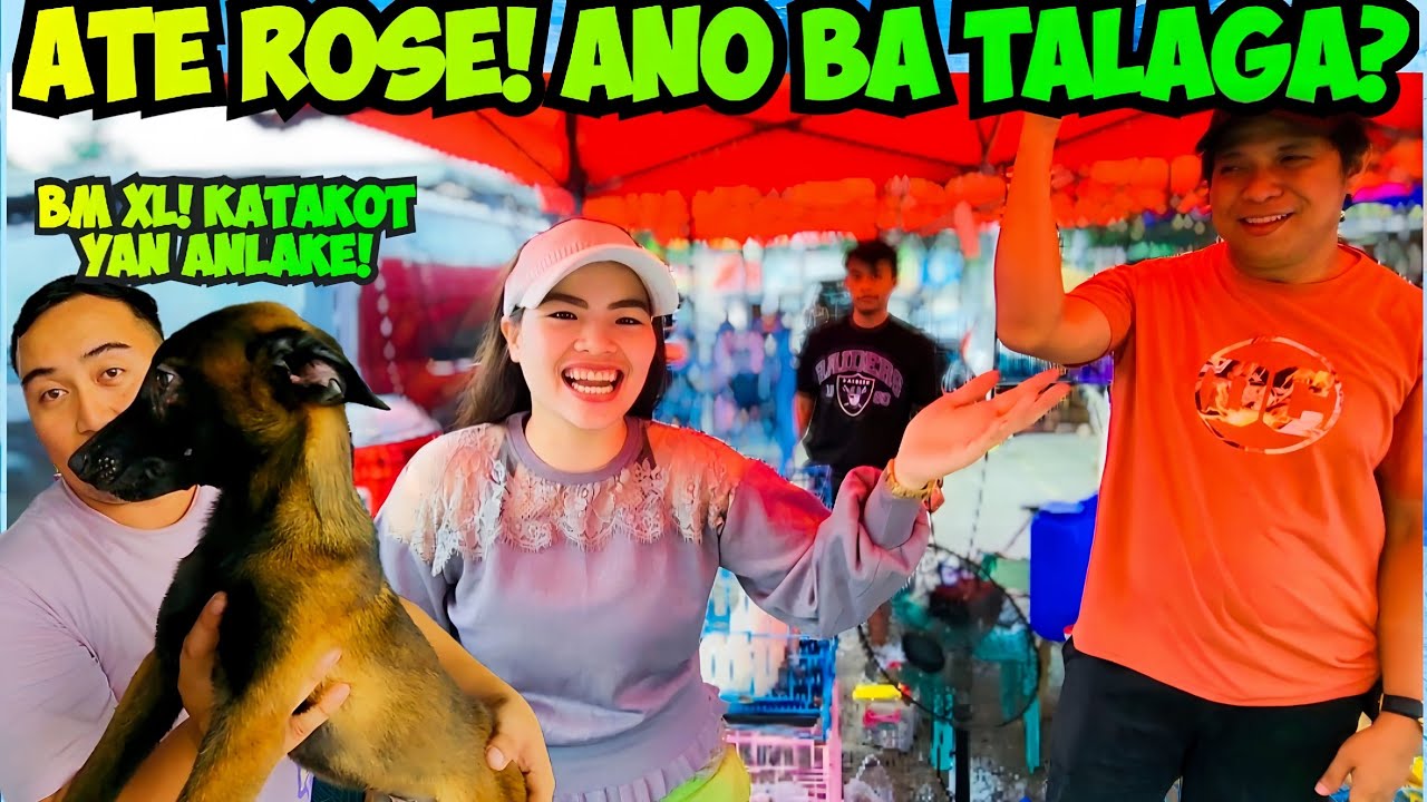 UMAAPAW ANG MGA MURANG ASO AT PUSA SA GROTTO PET MARKET! BAKA HANAP MO ...