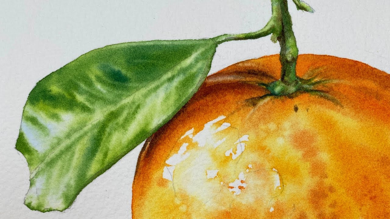 How to paint a mandarin with one layer in watercolor - YouTube