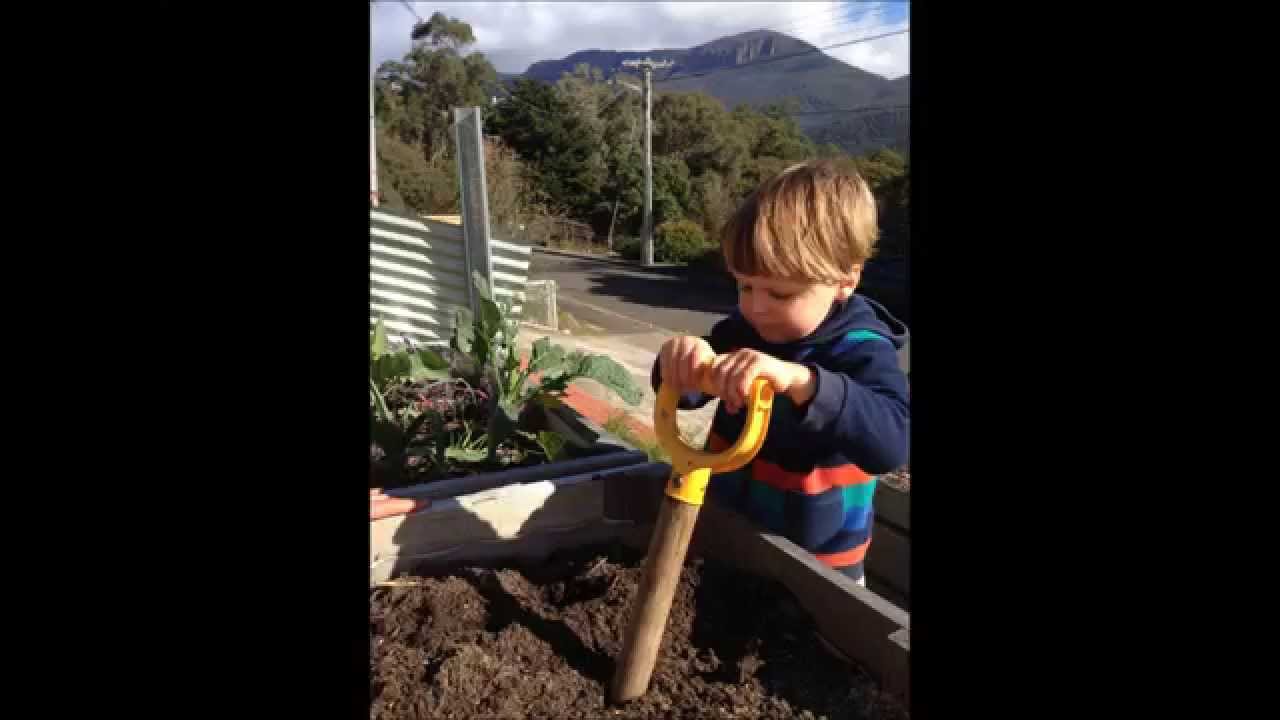 Family Food Patch: Getting Kids Involved With Food - YouTube