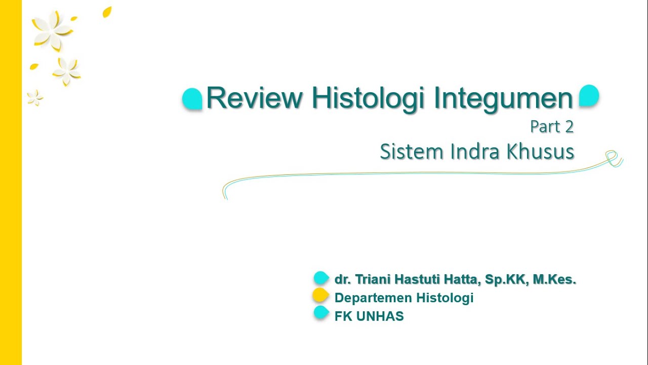 Histologi Integumen (Blok Indera Khusus) Part 2 - YouTube