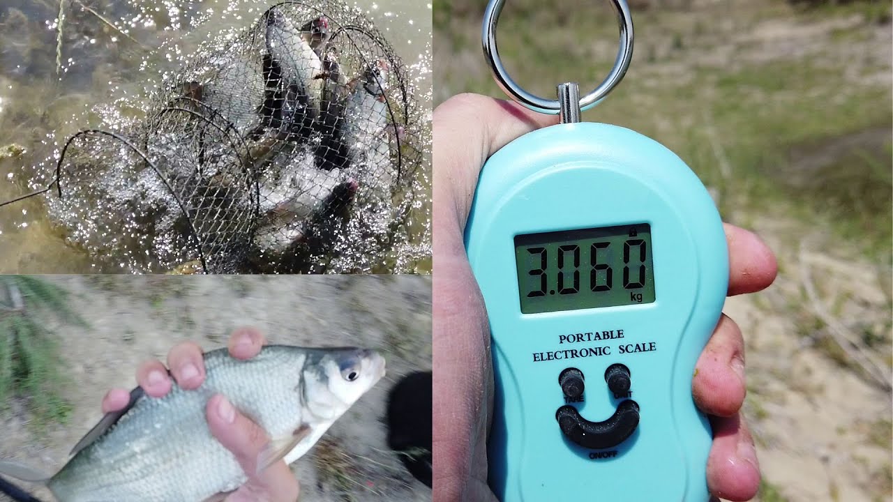 SUPER PAPLAVOK(PROPKA) VURUŞLARİOLAN BALIQ OVU;AWSOME FISHING#fishing # ...