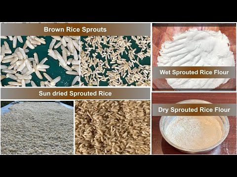 Making Wet Sprouted Brown Rice Flour and Dry Sprouted Brown Rice Flour ...