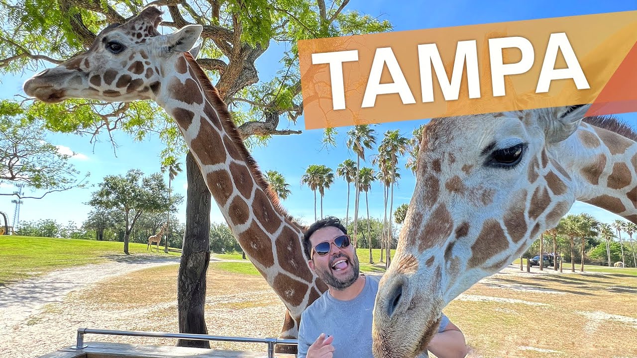 Tampa Bay - EUA :: Adrenalina, aventura e gastronomia em Tampa :: 3em3 ...