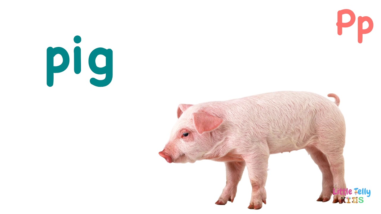 Words Starting With P Learn Words That Start With P Sound With words-starting-with-p-learn-words-that-start-with-p-sound-with