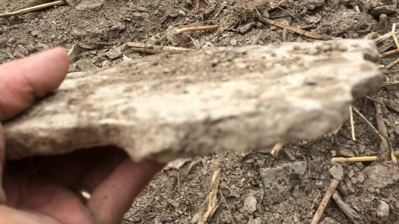 Picking Flat Stone ... Field Shale Stone - YouTube