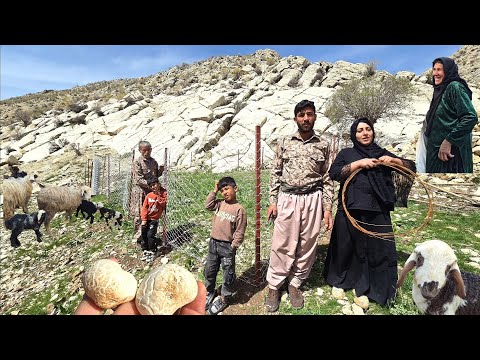 What's happening in the heart of the Zagros? | Farm fencing in the real life of Iranian nomads