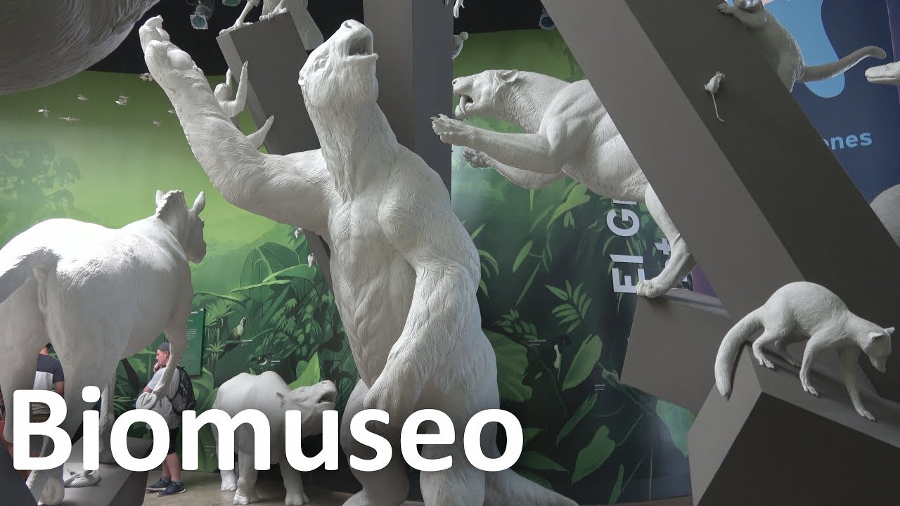 BIOMUSEO - PANAMÁ. ¿Que ver y hacer? (4K-UHD) - YouTube