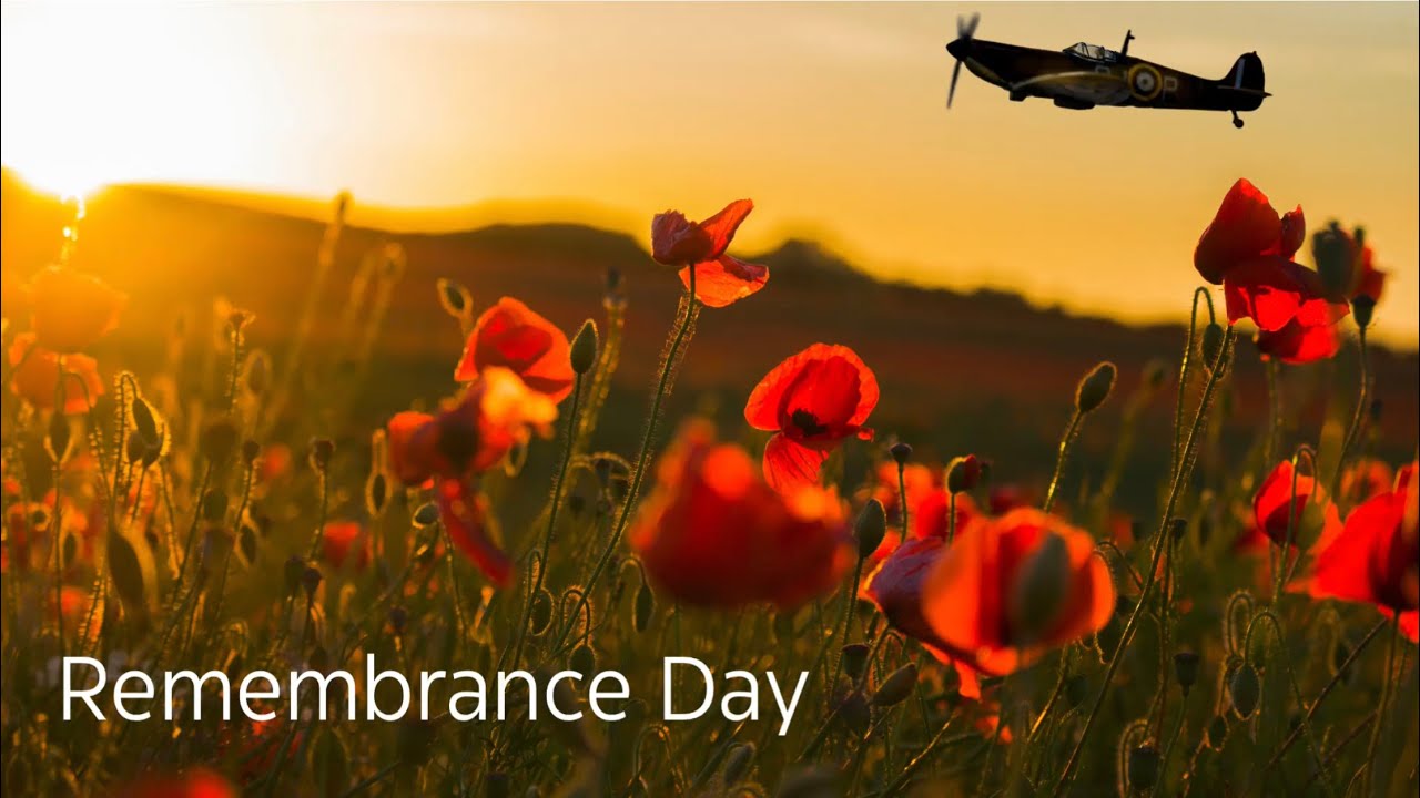 Remembrance Day - YouTube