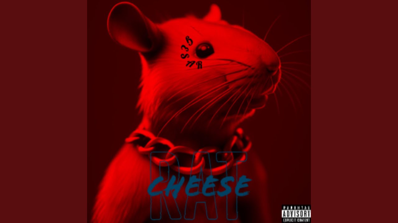 RaT CheeSe - YouTube Music