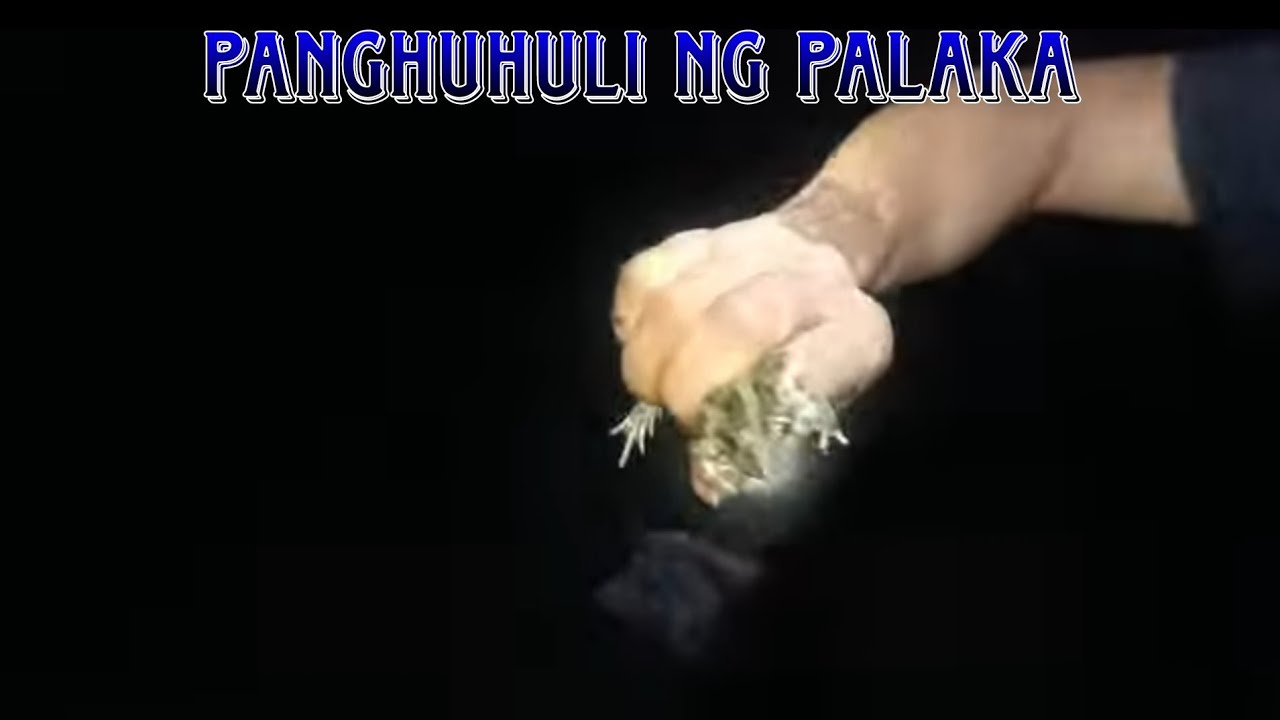 EP,838. Panghuhuli ng palaka - YouTube