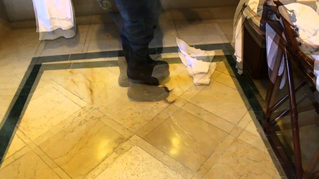 Dominican Republic giant insect (centipede) - YouTube