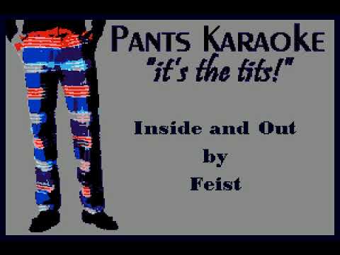 Feist - Inside and Out [karaoke]