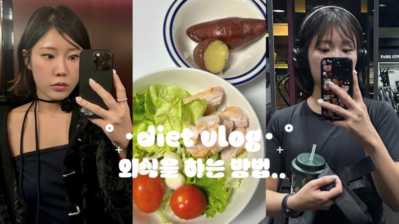 바프 D 58 다이어트 브이로그💪🏽아파도 운동은 가라 외근 도시락 그랜드하얏트호텔 연말파티 마이프로틴 추천 바프준비식단