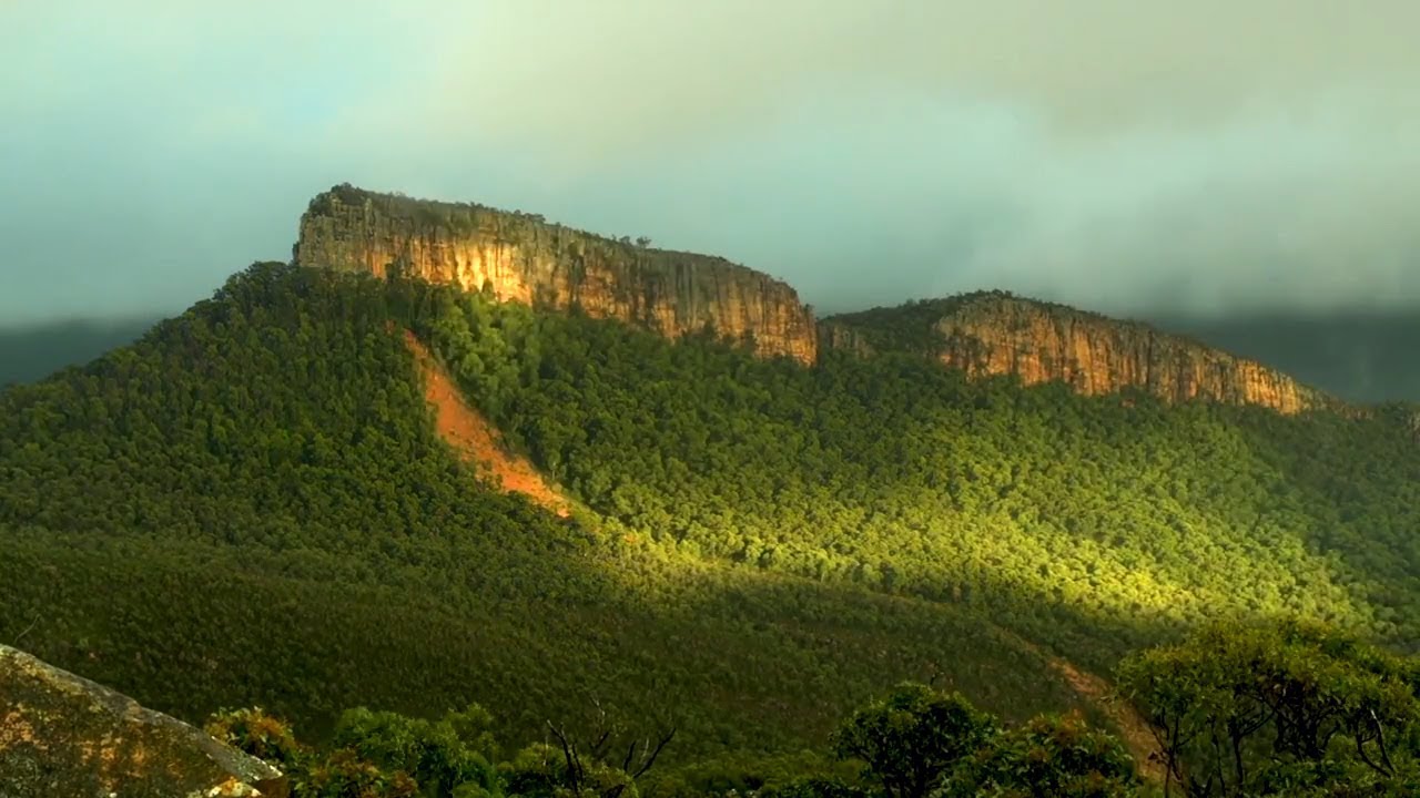 Protecting Victoria's Environment - Biodiversity 2037 - YouTube