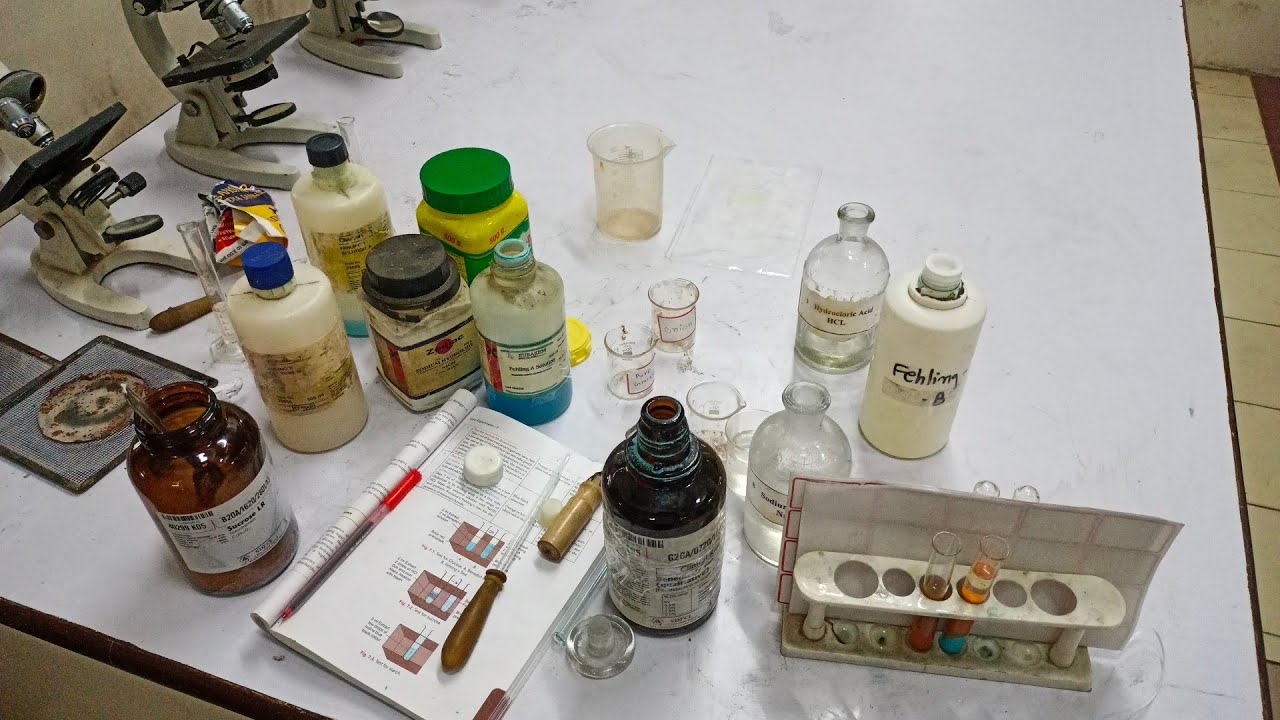 Carbohydrate Testing | Testing Sucrose (Disaccharide)Benedict Test ...