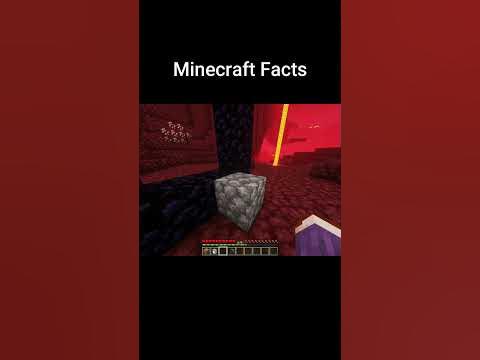 5 Minecraft FACTS - YouTube