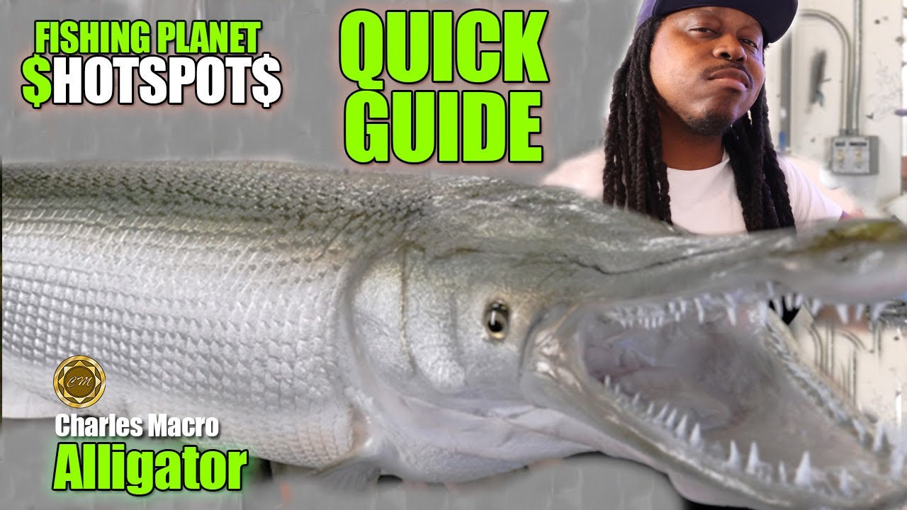 Alligator Gar Guides
