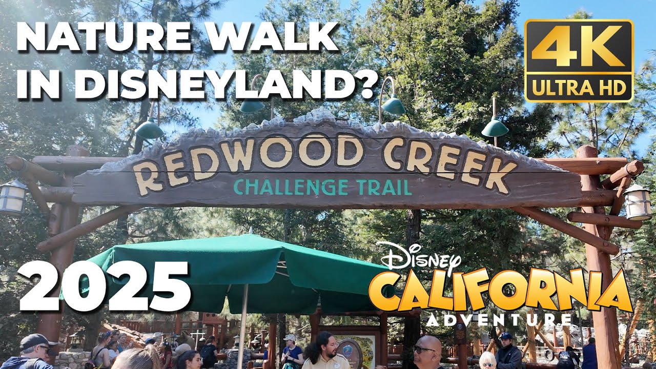 [4K] Redwood Creek Challenge Trail | 2025 Full Walkthrough | Disney ...
