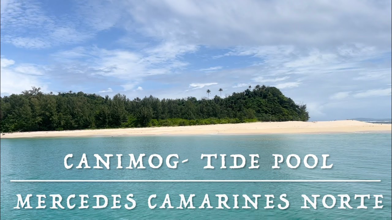CANIMOG ISLAND Tide Pool Mercedes Camarines Norte / 🎤 You Are My ...