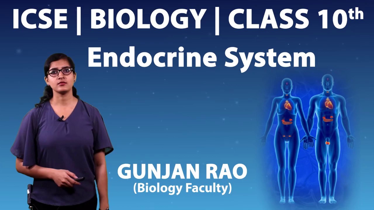 ICSE | Class 10th | Biology | Endocrine System | Important Ques ...