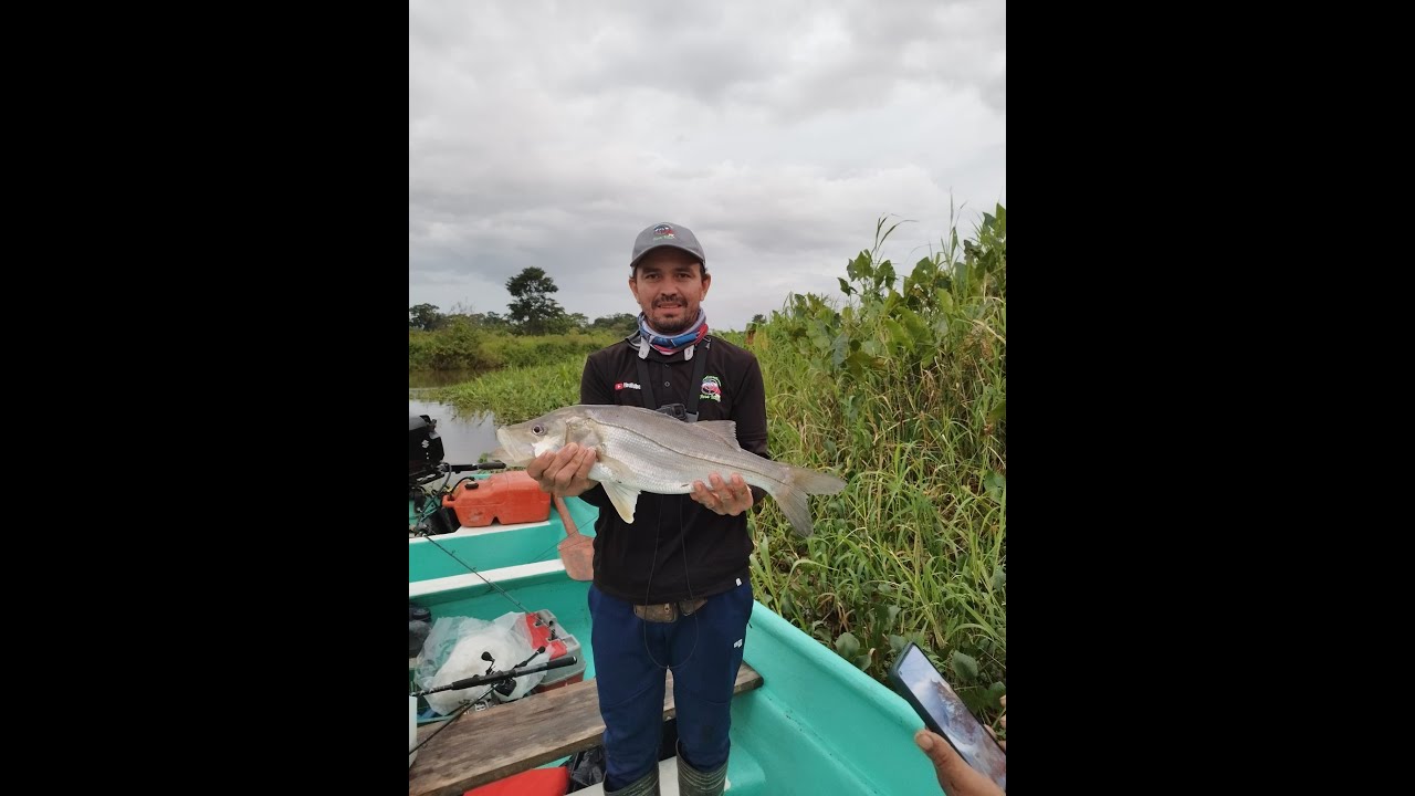 😱😱LA CALVA MAS GRANDE😱😱 ️ QUE HE PEGADO. PESCA EN BARRA DEL COLORADO ...