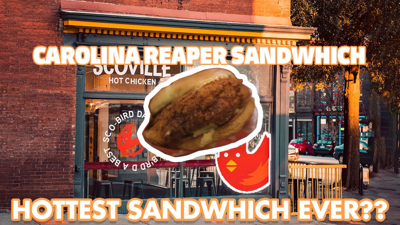 HOTTEST Chicken Sandwich | Scoville Hot Chicken - YouTube