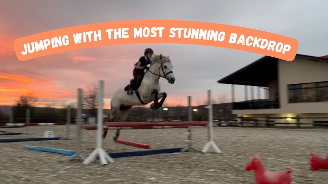How We Teach our Pony to Jump Horse Stride Combinations! - YouTube