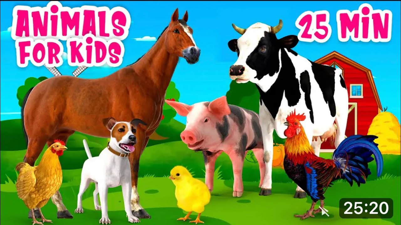 Wao Beautifull Animal Secrifice#ambala#arain#love#you#143#virell# ...