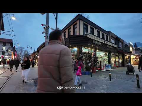 Bursa gezintisi@