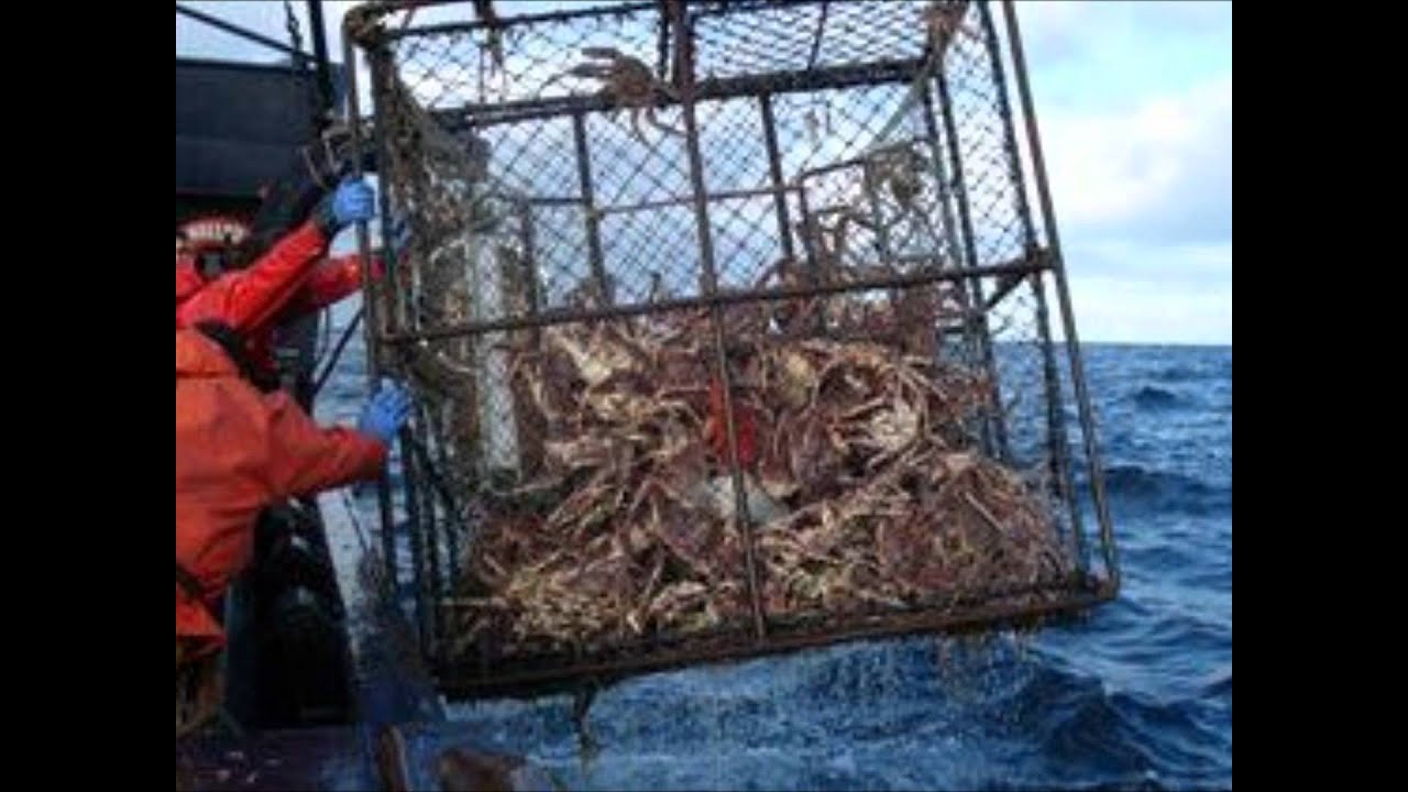 On the boaat ! - YouTube