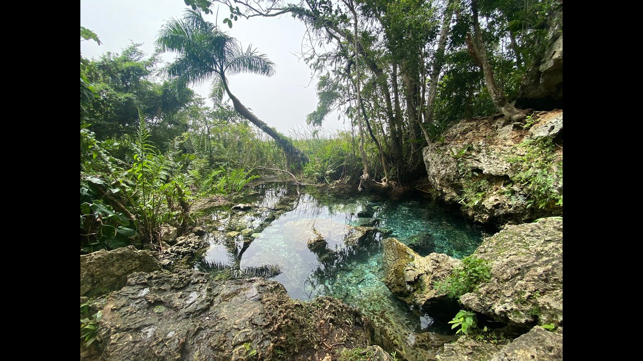 Manantial de Manatí - YouTube