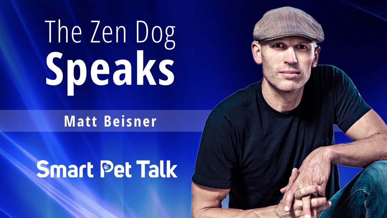 The Zen Dog Speaks with Matt Beisner - YouTube