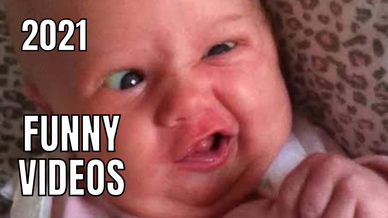 Funny 2021 Videos Compilation 1 - YouTube